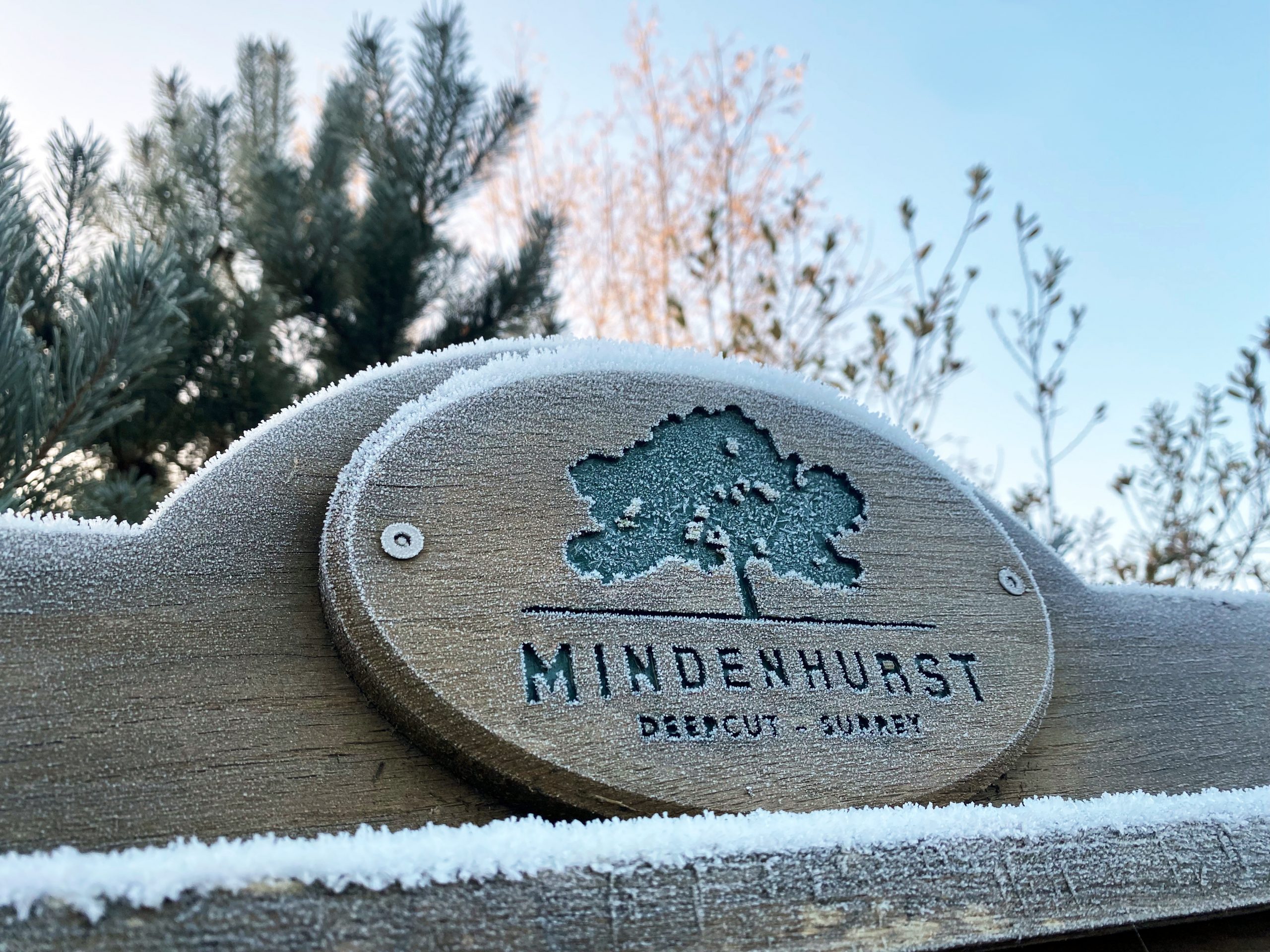 Winter Solstice - Mindenhurst