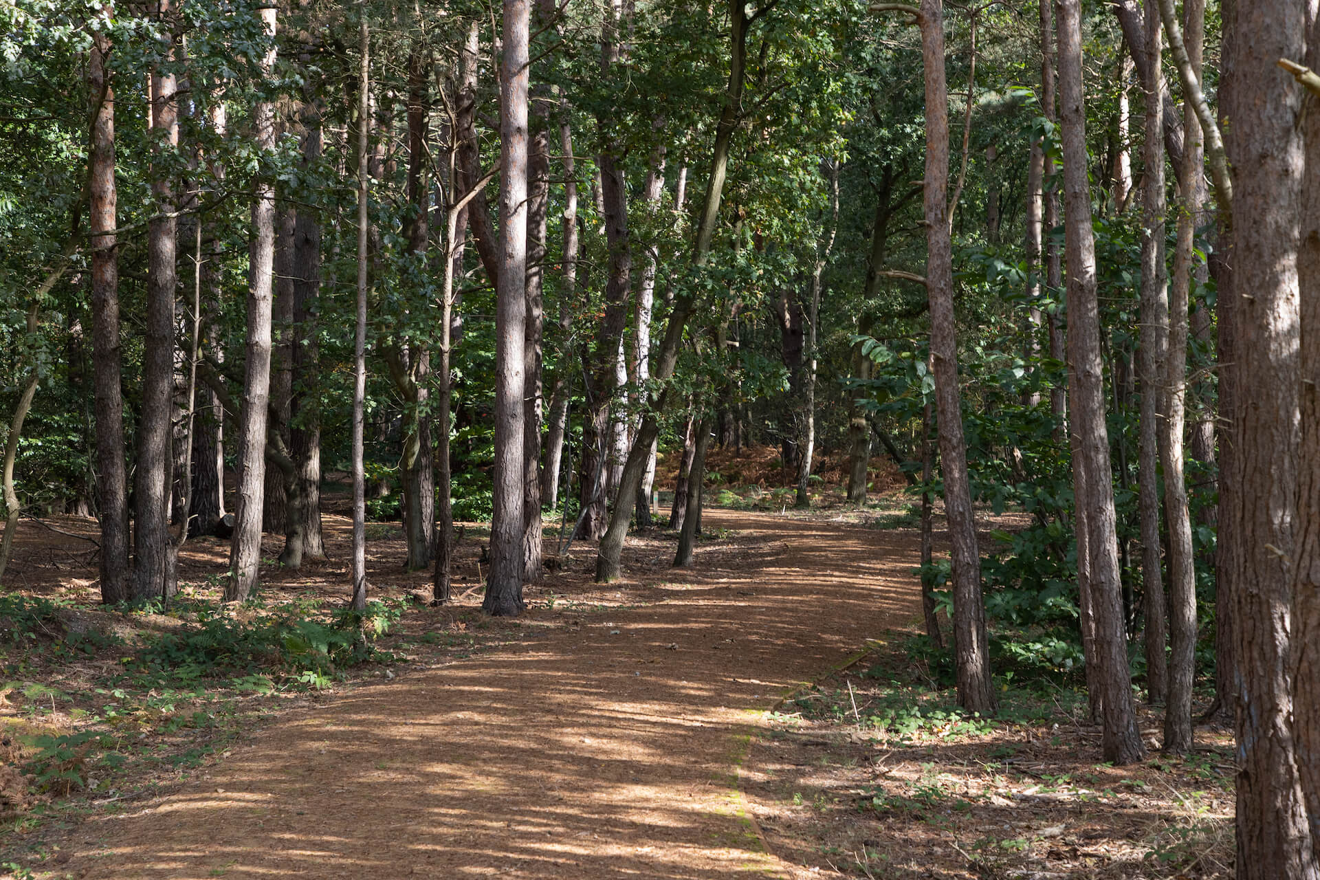 June construction update - Mindenhurst