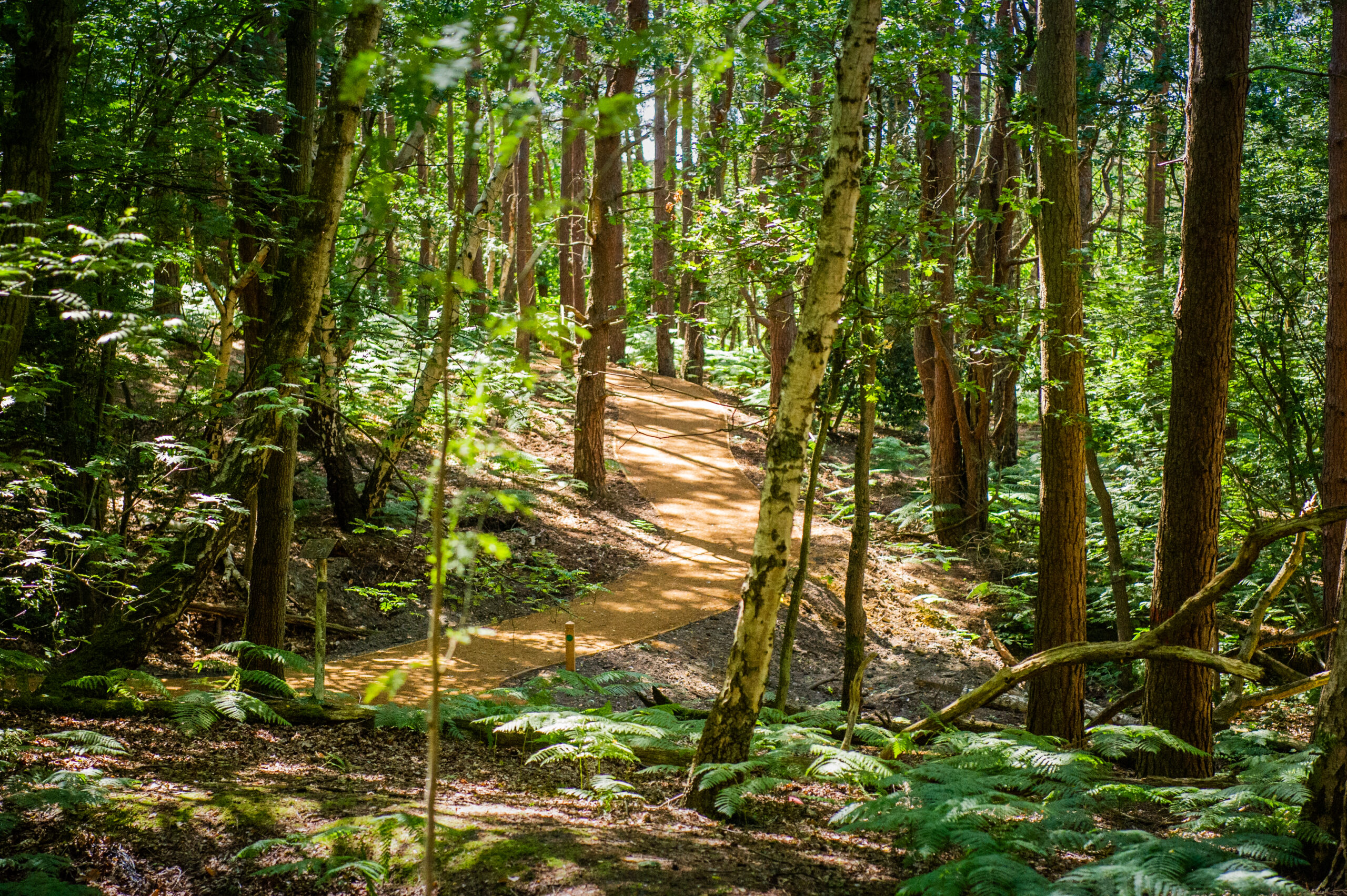 Safety Alert - High Winds - Mindenhurst